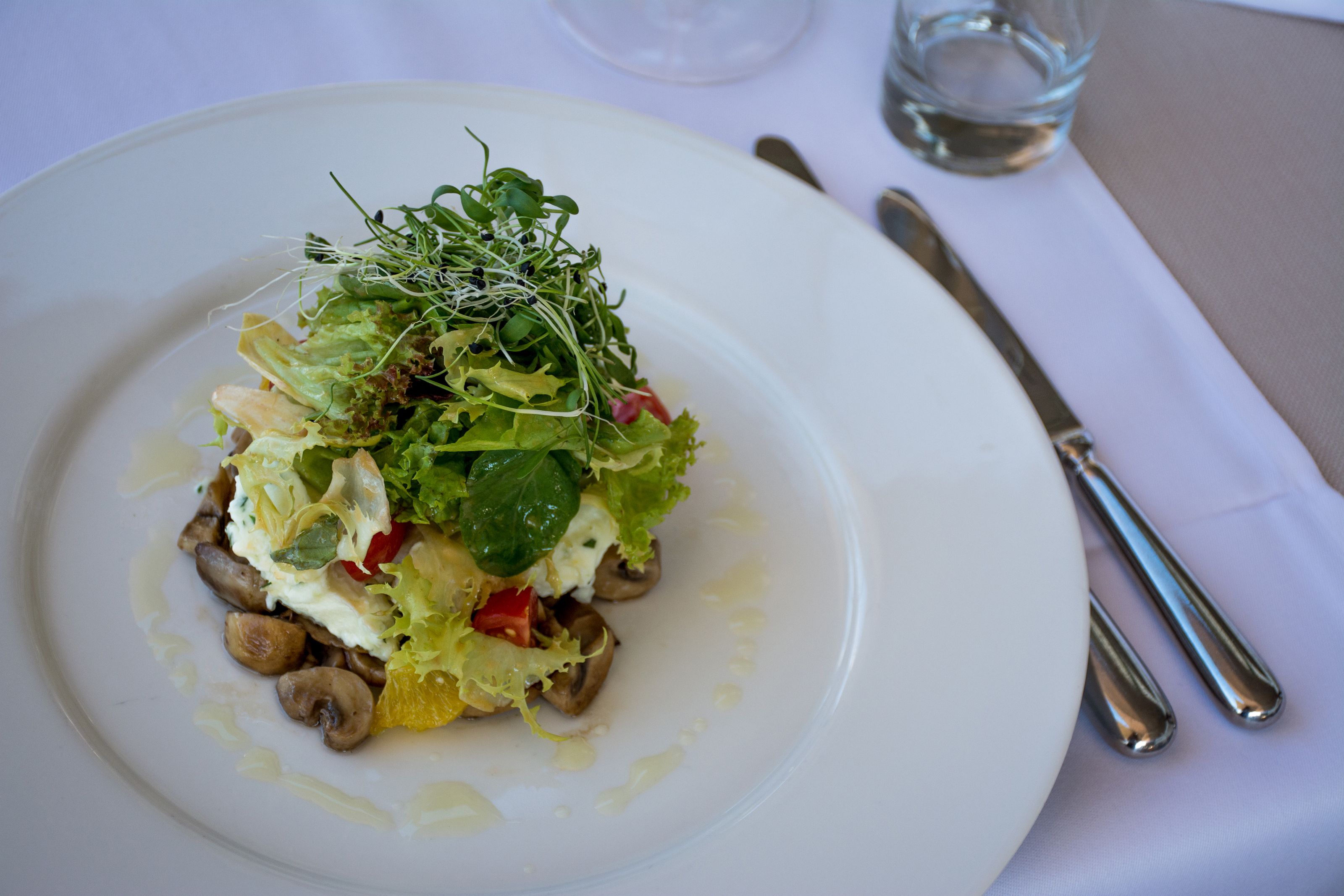 Restaurant & Castle Courtyard | Restaurant & Hotel Schloss